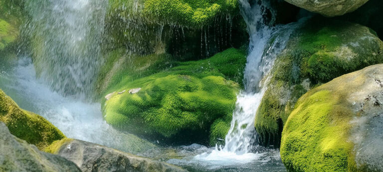 Biofiltration System - AZU Water